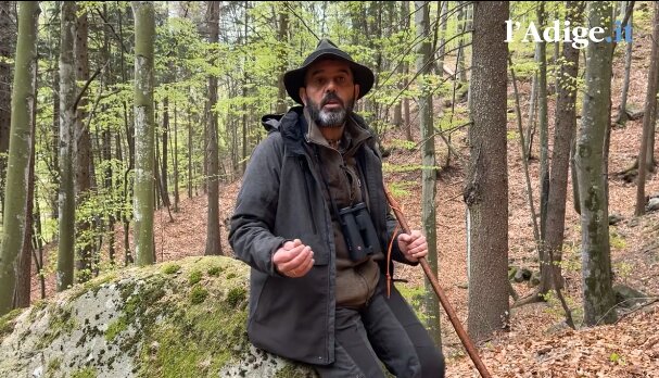 Video | l'Adige.it